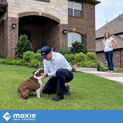 MOXIE PEST CONTROL - Updated December 2025 - 53 Photos & 139 Reviews ...