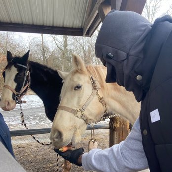 RED BUFFALO RANCH - Updated October 2025 - 69 Photos & 62 Reviews ...