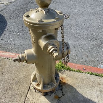 THE GOLDEN FIRE HYDRANT - Updated July 2025 - 52 Photos & 14 Reviews ...