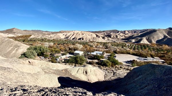 CHINA RANCH DATE FARM - 376 Photos & 100 Reviews - 8 China Ranch Rd ...