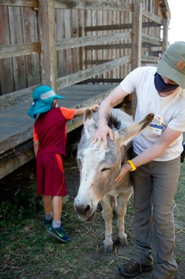 UC ELKUS RANCH ENVIRONMENTAL EDUCATION CENTER - Updated October 2024 ...