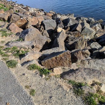 CAT JETTY - Updated December 2025 - 163 Photos & 18 Reviews - 2510 ...