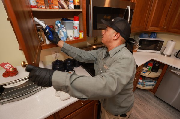 PEST NOW OF VIRGINIA - Updated December 2025 - 25 Photos & 243 Reviews ...