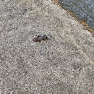 THE MARK ATHENS - Updated December 2025 - 19 Photos & 48 Reviews - 130 ...