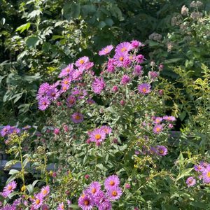 SCOUT LAKE PARK - Updated June 2024 - 23 Photos - 5902 West Loomis Rd ...