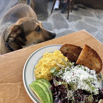 CAFÉ TELEGRAMA - Updated August 2024 - 89 Photos & 65 Reviews - 737 N ...