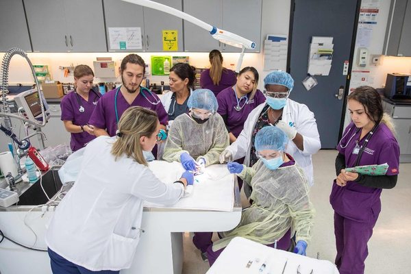 STANBRIDGE UNIVERSITY - Updated October 2025 - 32 Photos & 115 Reviews - 2215 W Mission Rd ...