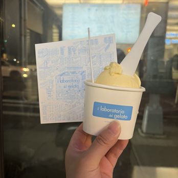 IL LABORATORIO DEL GELATO - Updated January 2025 - 1132 Photos & 1446 ...