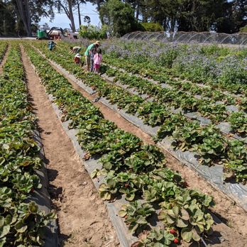 CRYSTAL BAY FARM - Updated September 2024 - 146 Photos & 64 Reviews ...