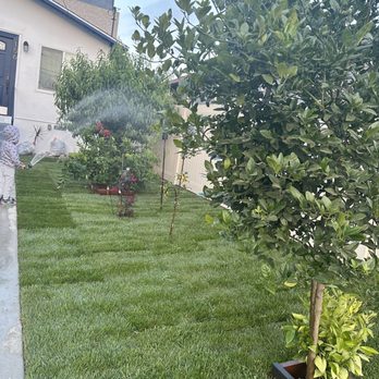 JM LANDSCAPING - Updated August 2025 - 13 Photos - Inglewood ...