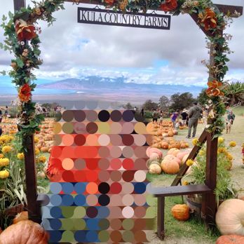 KULA COUNTRY FARMS - Updated May 2025 - 1003 Photos & 131 Reviews ...