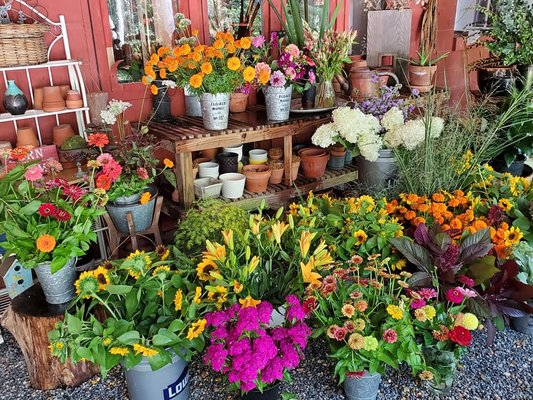 THE FLOWER COMPANY - Updated January 2026 - 114 Photos & 12 Reviews ...