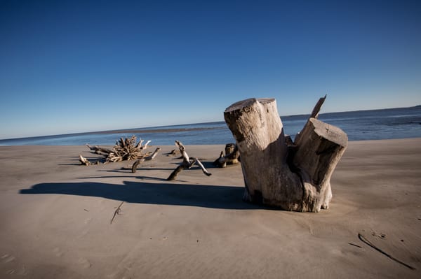 BLOODY POINT - Updated September 2025 - 56 Fuskie Ln, Daufuskie Island ...