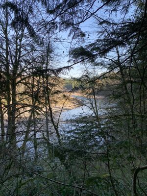 OXBOW REGIONAL PARK | 65 Photos & 42 Reviews - 3010 SE Oxbow Pkwy ...