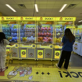 DUCK - Updated December 2025 - 57 Photos & 34 Reviews - 1004 Diffley Rd ...