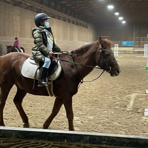 DANADA EQUESTRIAN CENTER - 3S507 Naperville Rd, Wheaton, IL - Yelp