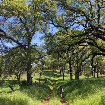 OLMSTEAD LOOP TRAIL - Updated December 2025 - 10 Photos - Behind Fire ...