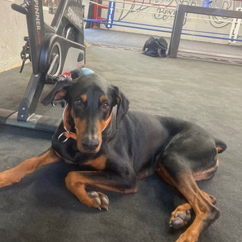 WILD CARD BOXING CLUB & WILD CARD BOXING STORE - Updated December 2025 ...