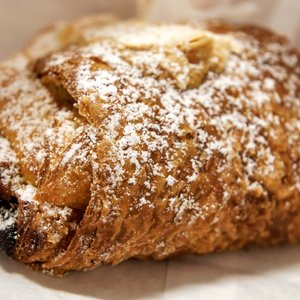 THE INSECT ASYLUM - Updated October 2025 - 60 Photos & 14 Reviews ...