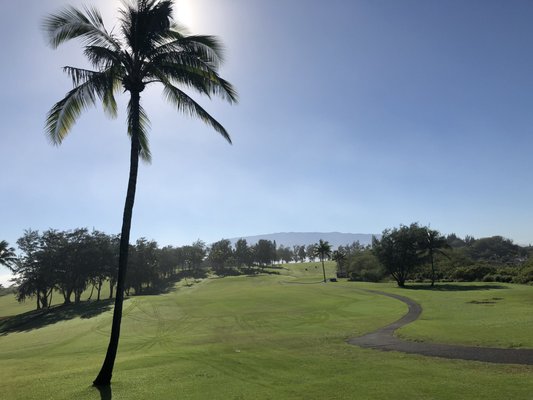 WAIEHU MUNICIPAL GOLF COURSE - 71 Photos & 26 Reviews - 200 Halewaiu Rd ...