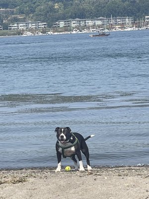 BROUGHTON BEACH - Updated April 2026 - 34 Photos & 21 Reviews - 4356 NE ...