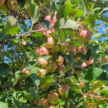 FISHKILL FARMS - Updated December 2024 - 841 Photos & 286 Reviews - 9 ...