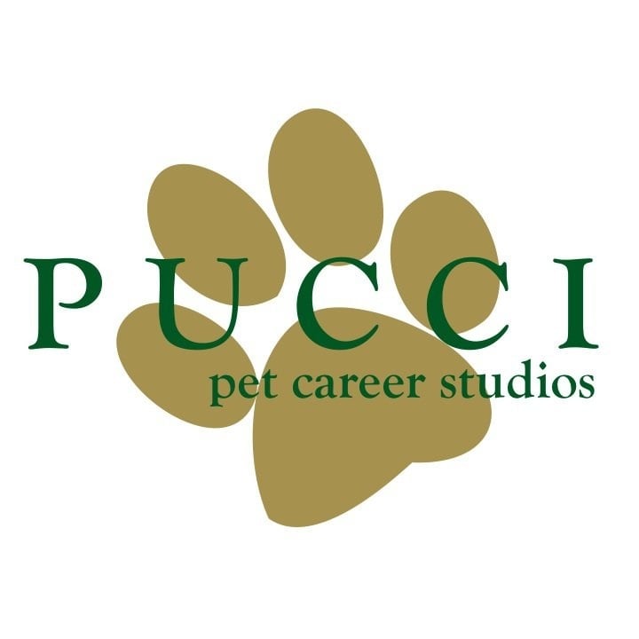 PUCCI PET GROOMING - Updated July 2025 - 11 Reviews - 121 E Main St ...