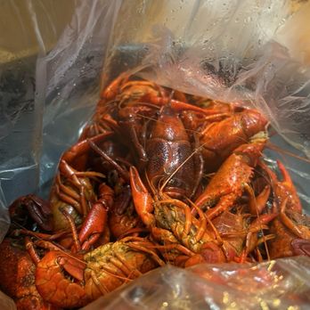 TASTY TAILS - Updated December 2025 - 447 Photos & 282 Reviews - 4950 ...