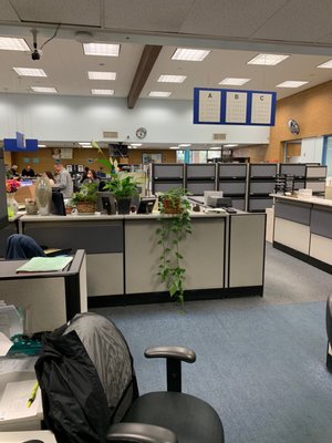 DEPARTMENT OF MOTOR VEHICLES - Updated October 2025 - 14 Photos & 81 ...