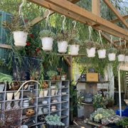 THE OLD LUCKETTS STORE - 190 Photos & 67 Reviews - Antiques - 42350 ...