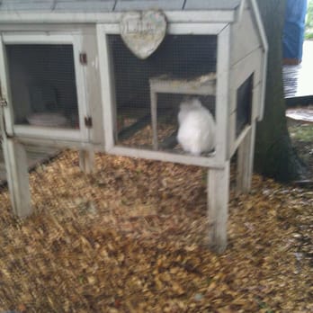 BANBURY FAIR - Updated September 2025 - 50 Photos & 26 Reviews - 211 ...