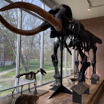 JOSEPH MOORE MUSEUM - Updated December 2024 - 13 Photos - 801 National ...