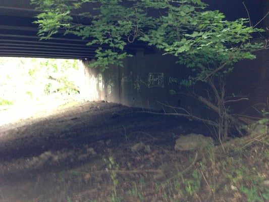 JUNIATA GOLF CLUB - Updated December 2025 - 21 Reviews - 1391 E Cayuga ...