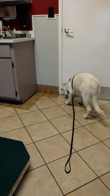 THEODORE VETERINARY HOSPITAL - Updated June 2025 - 12 Photos & 31 ...