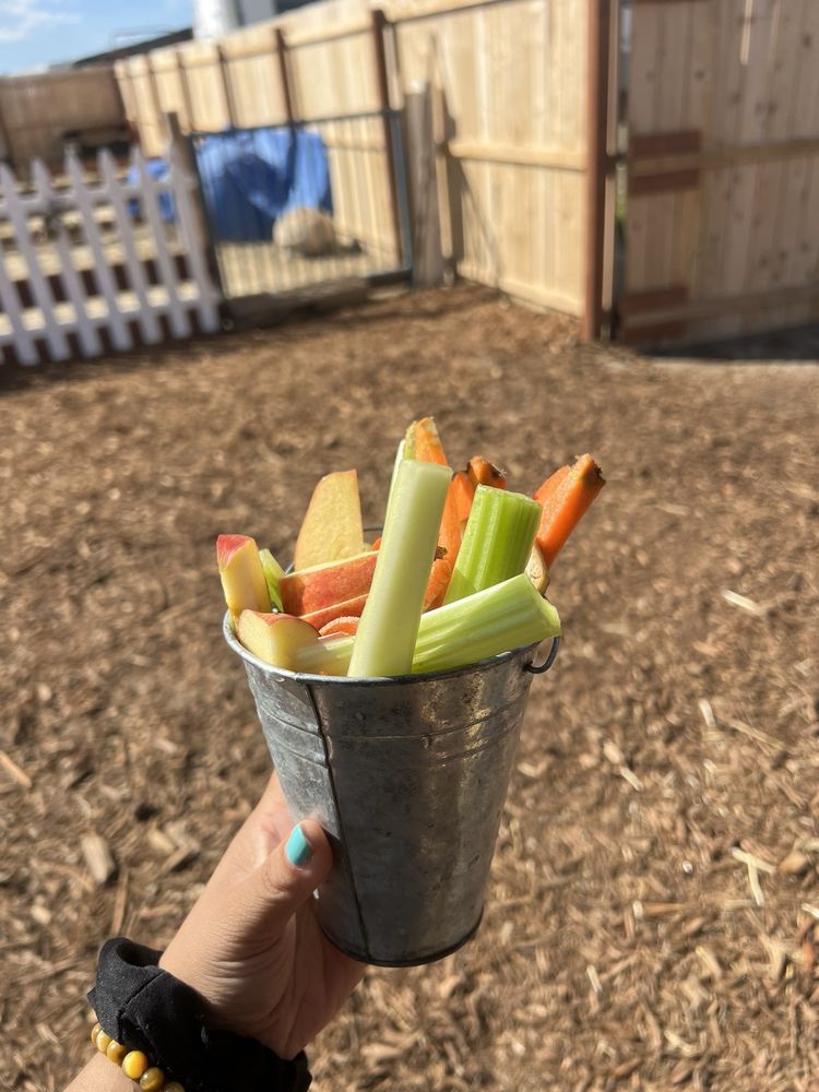 BARBER FAMILY FARM - Updated May 2024 - 280 Photos & 31 Reviews - 354 B ...