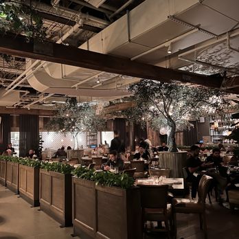 ABA - Updated November 2024 - 4292 Photos & 1733 Reviews - 302 N Green ...