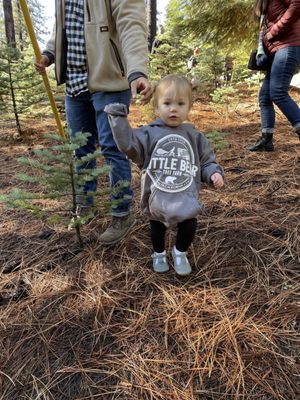 LITTLE BEAR TREE FARM - Updated November 2025 - 46 Photos & 29 Reviews ...