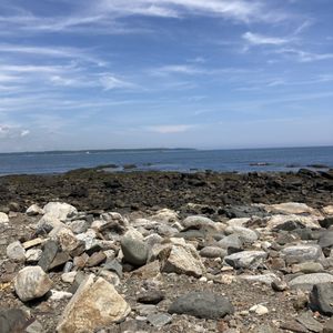 SEACOAST SCIENCE CENTER - 38 Photos & 39 Reviews - 570 Ocean Blvd, Rye ...