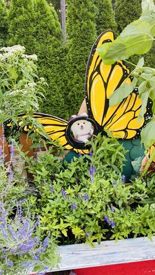 MATTER PARK - Updated July 2025 - 37 Photos - 1701 N Matter Park Rd ...