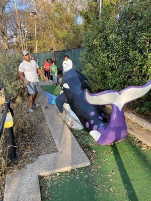 PETER PAN MINI-GOLF - Updated January 2025 - 367 Photos & 379 Reviews ...