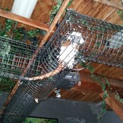 THE ZOO IN FOREST PARK & EDUCATION CENTER - 52 Photos & 21 Reviews ...