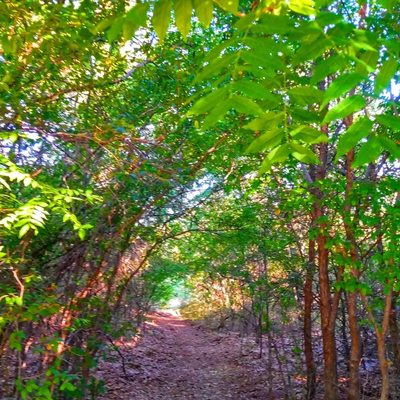 HORSESHOE TRAIL AT LAKE GRAPEVINE - Updated October 2025 - 53 Photos ...