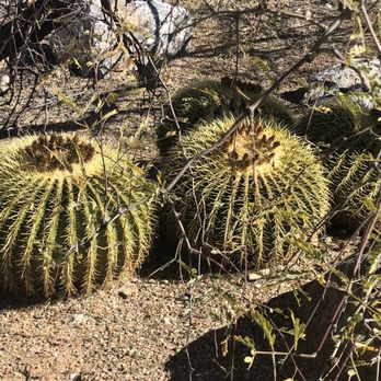 ASARCO MINERAL DISCOVERY - Updated January 2026 - 72 Photos & 20 ...