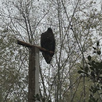 CURIODYSSEY - Updated March 2025 - 886 Photos & 349 Reviews - 1651 ...