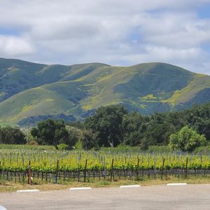 KAENA AT THE RANCH - 35 Photos & 20 Reviews - 800 E Hwy 246, Solvang ...