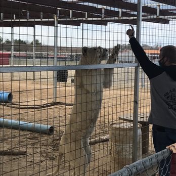 SHARKAROSA WILDLIFE RANCH - Updated August 2025 - 312 Photos & 133 ...