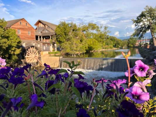 OLD MILL SQUARE - Updated December 2025 - 64 Photos & 10 Reviews - 175 ...