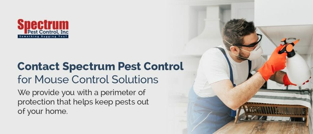 SPECTRUM PEST CONTROL - Updated October 2024 - 42 Photos - 101 Bradford ...