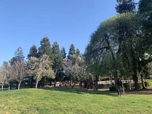 JOLLYMAN PARK - Updated June 2024 - 46 Photos & 17 Reviews - 1000 S ...