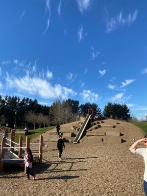 MEMORIAL PARK - Updated August 2024 - 72 Photos & 50 Reviews - 8100 SW ...